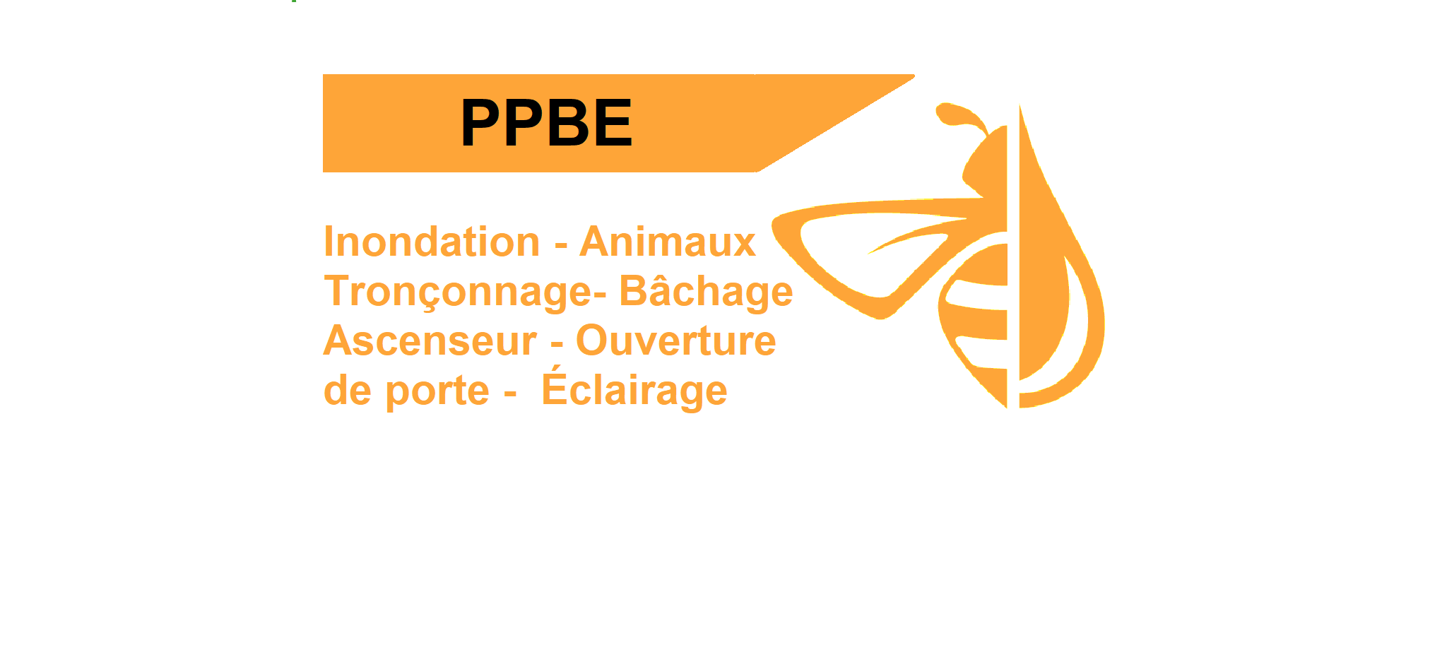 Apis: Catégories de cours | Apis